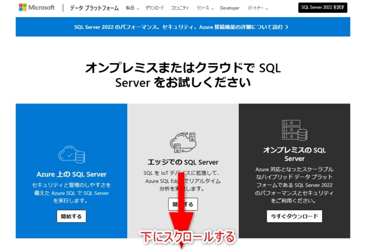 無料で全ての機能が使える「SQLServer2022 Developer Edition」データベースサーバーをパソコンにインストールしよう ...